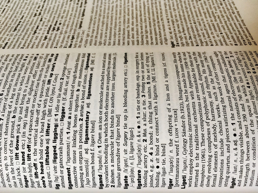 Libreria - Risograph Printing Workshop